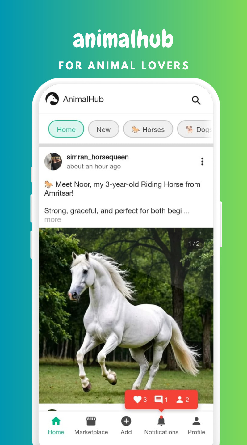 AnimalHub - Social Network for Animal lovers